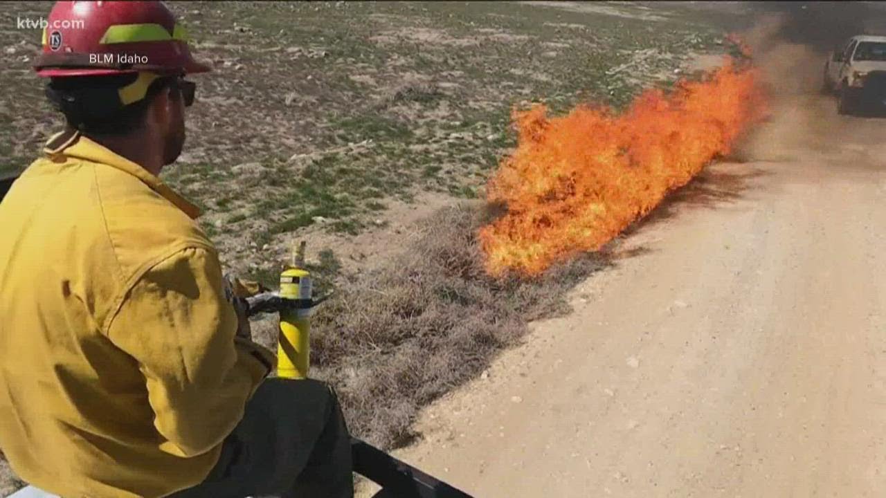 Forest Service announces spring prescribed fire burning plan for ...