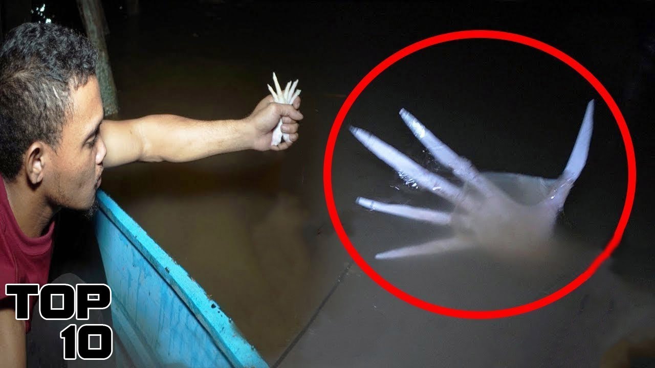 Top 10 Bizarre Creatures Caught In Rivers That Scientists Cant Explain ...