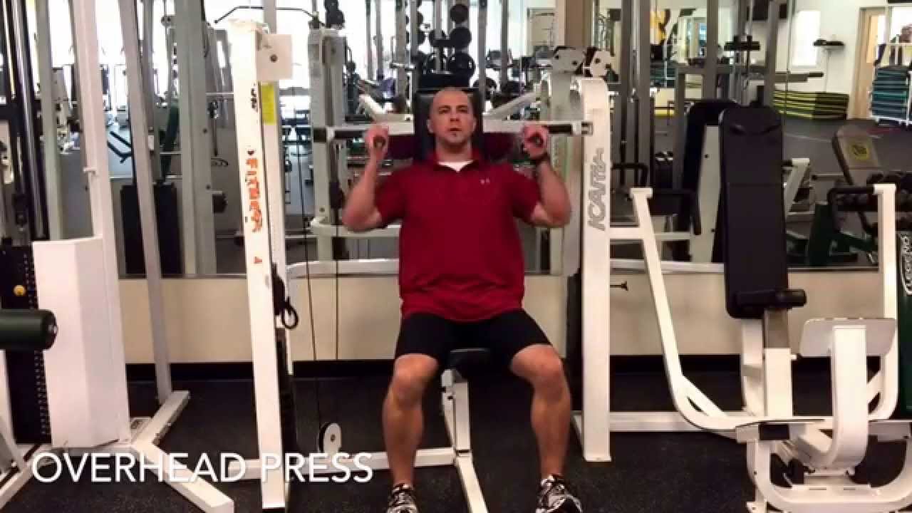 Seated Overhead Press - YouTube