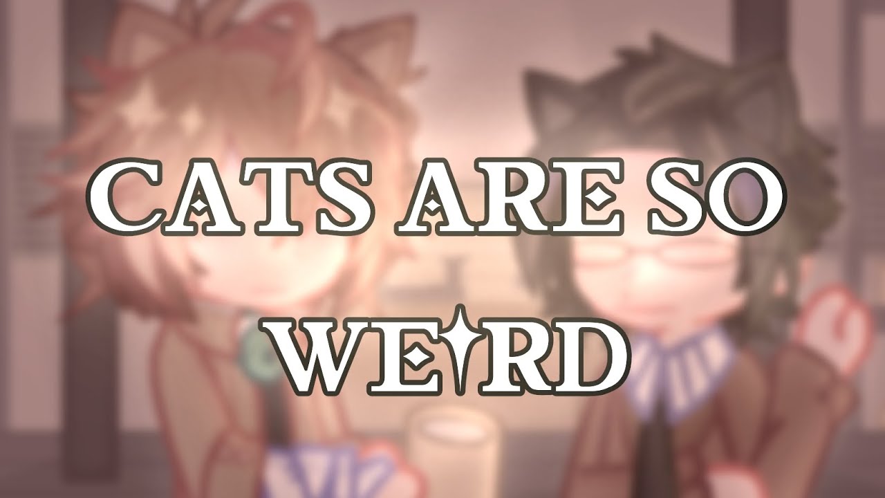 "Cats are so weird..."☆ BSD || Not a ship || Gacha Life 2 || Angst ...