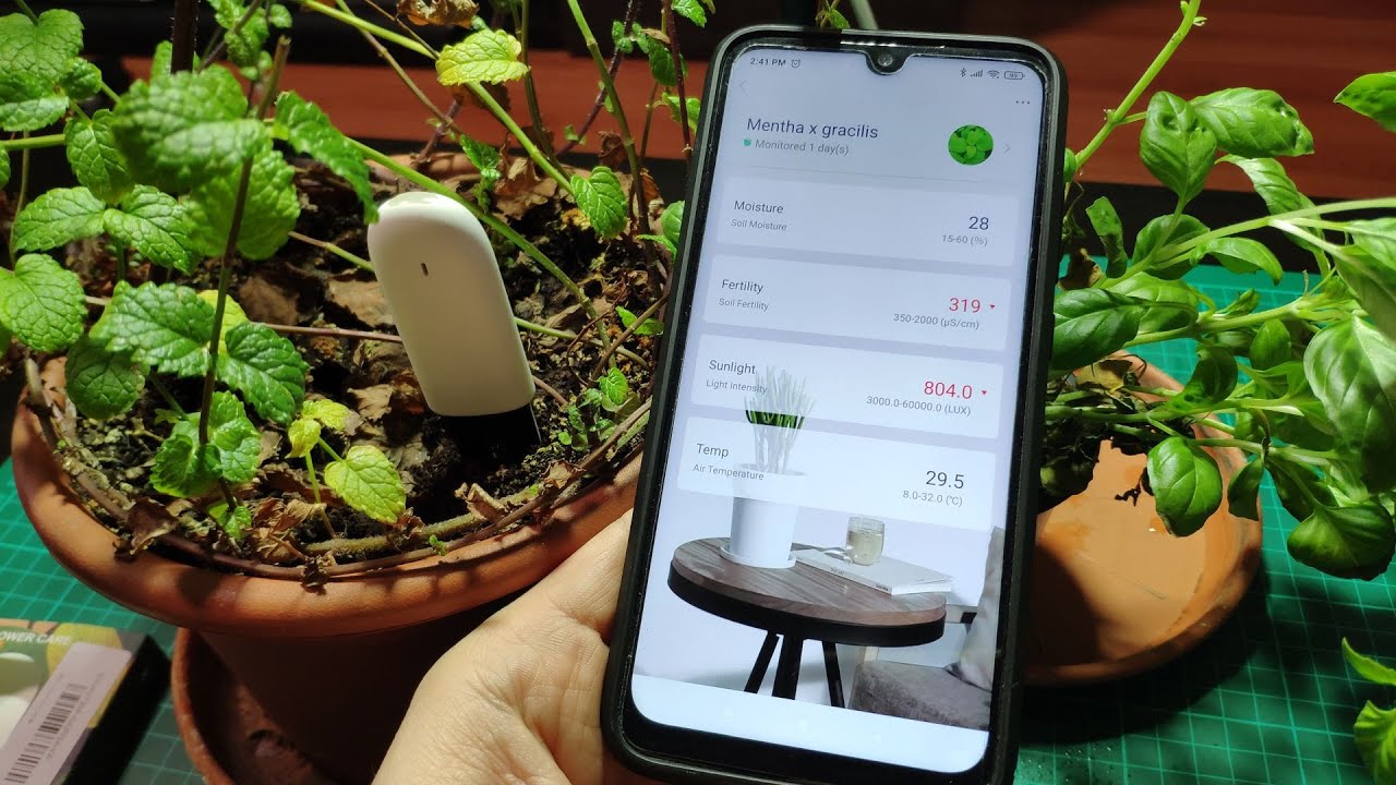 Xiaomi Smart Plant Care Bluetooth Sensor - YouTube