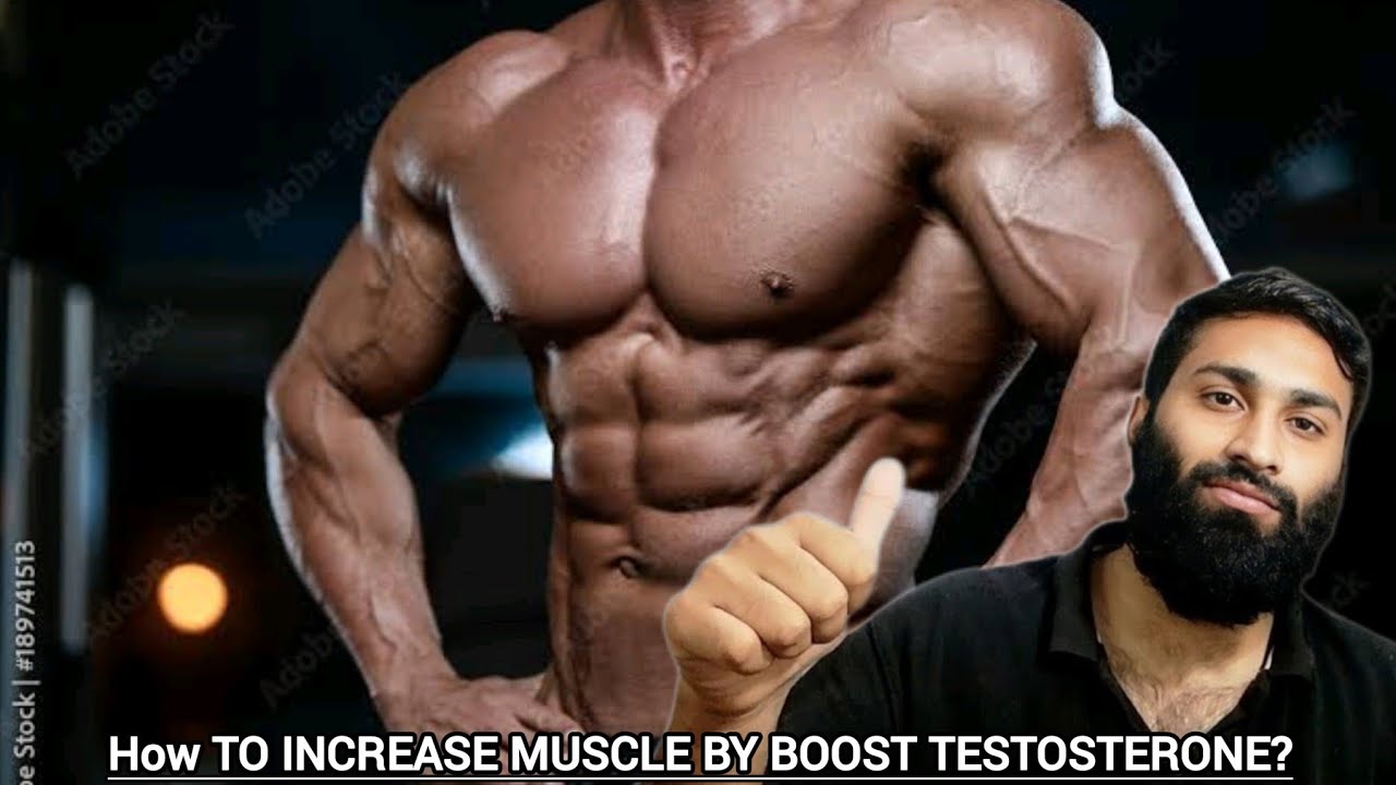 How To Increase Muscle By Spike Testosterone ? - YouTube