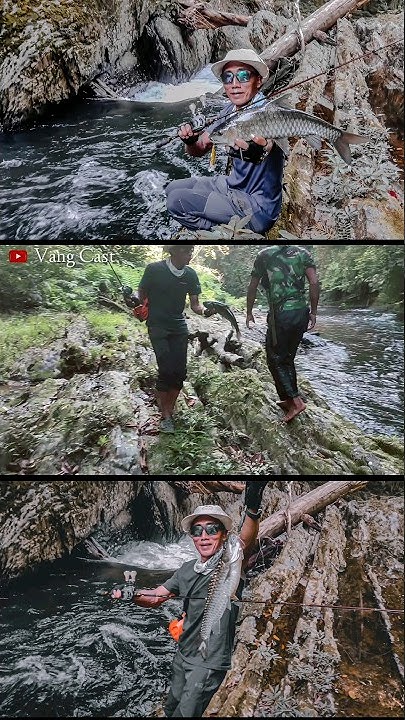 strike ikan mahseer di tepi sungai pedalaman Kalimantan #shorts - YouTube