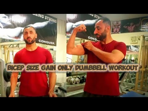 bicep size gain workout - YouTube