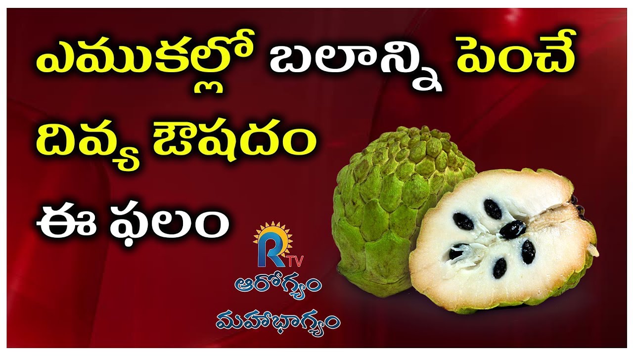 SEETHAPALAM BENEFITS || ఎముకల్లో బలాన్ని పెంచే దివ్య ఔషదం ఈ ఫలం || RTV ...