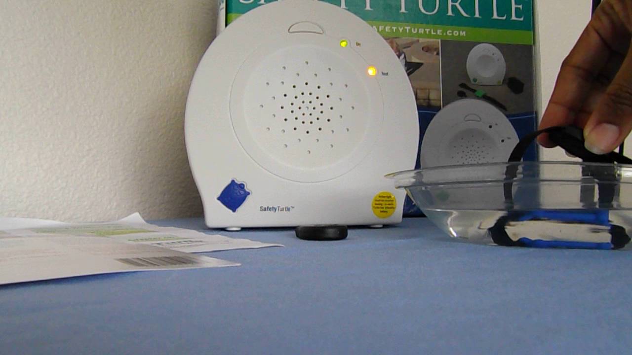 Safety Turtle - YouTube