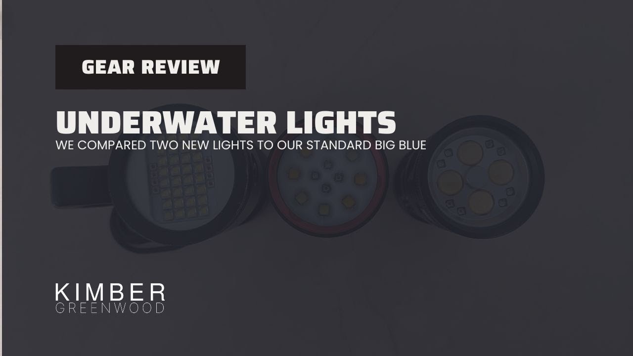 Underwater Constant Lights Comparison for Underwater Photography and ...