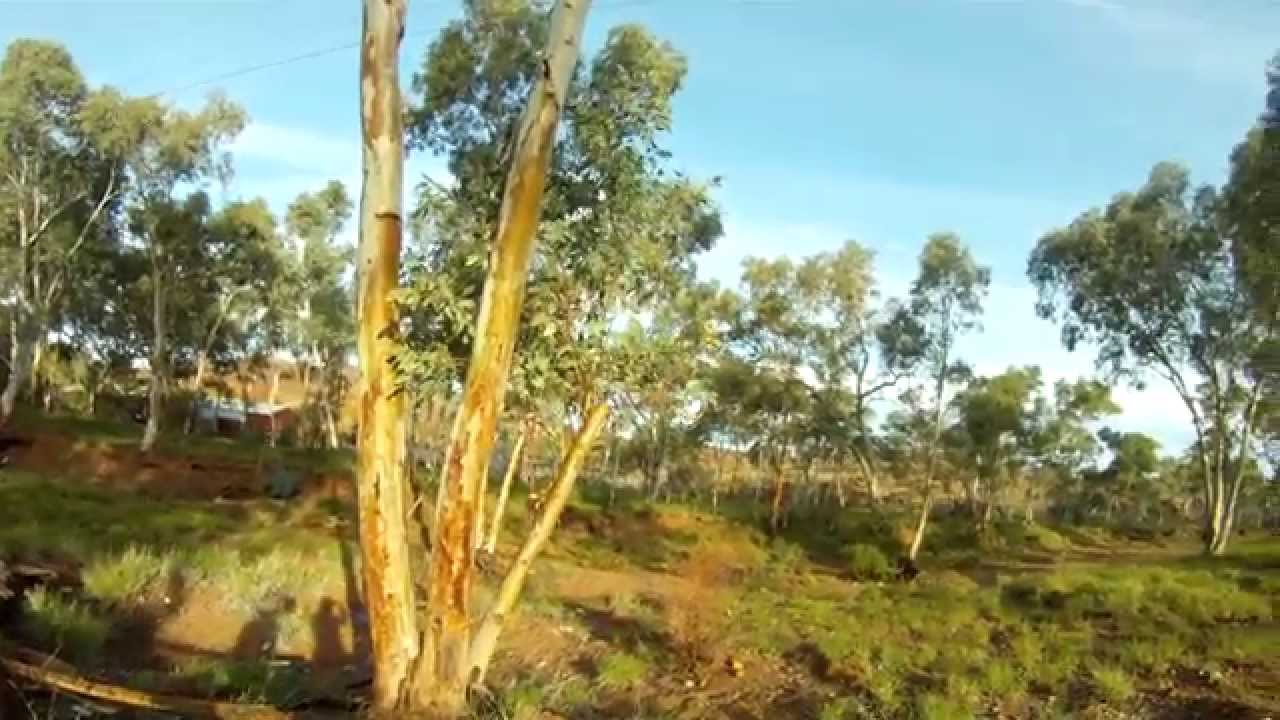 Pukatja/Ernabella 2014! - YouTube