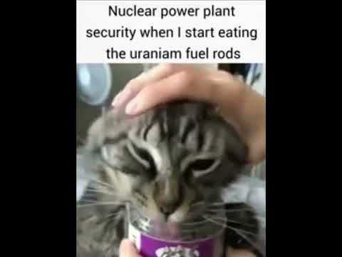 Nuclear Power Plant Security When I Start Eating the Uranium Fuel Rods ...