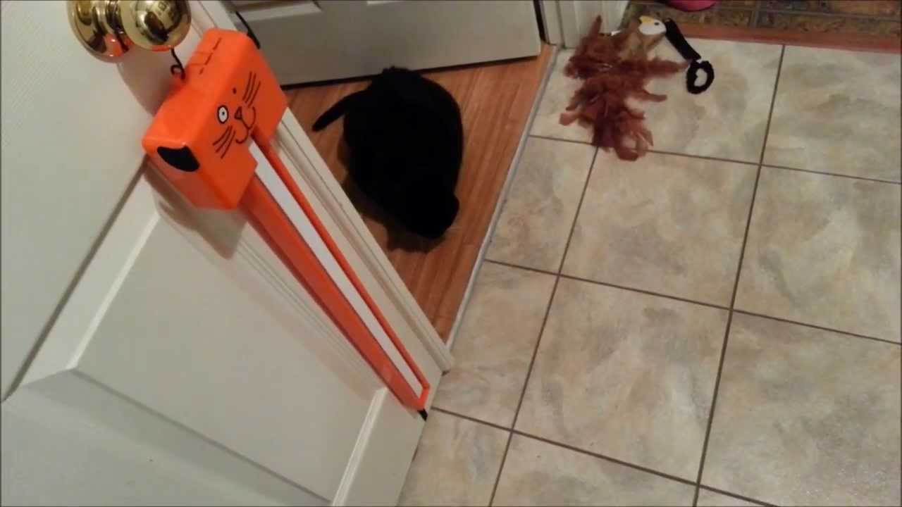 Remmi Vs. The Fling-ama-String - YouTube