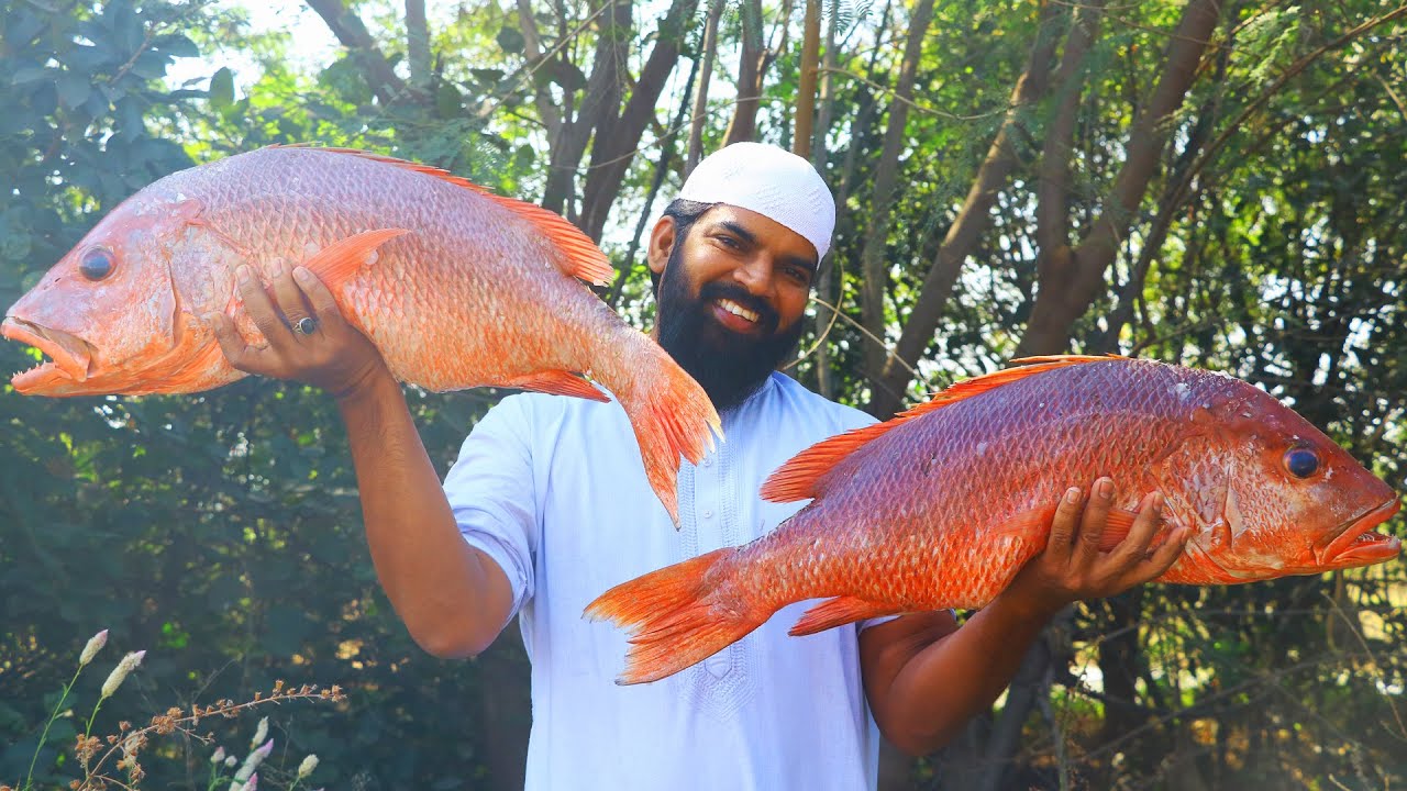 Incredible Giant Red Snapper Fish Fry on Stone (Patthar) | Patthar ka ...