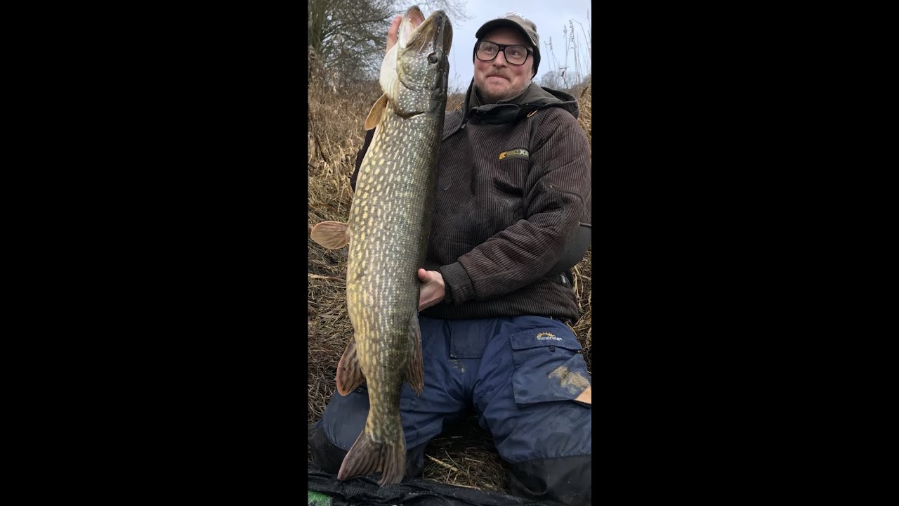 13kg Swedish Pike 200103 - YouTube