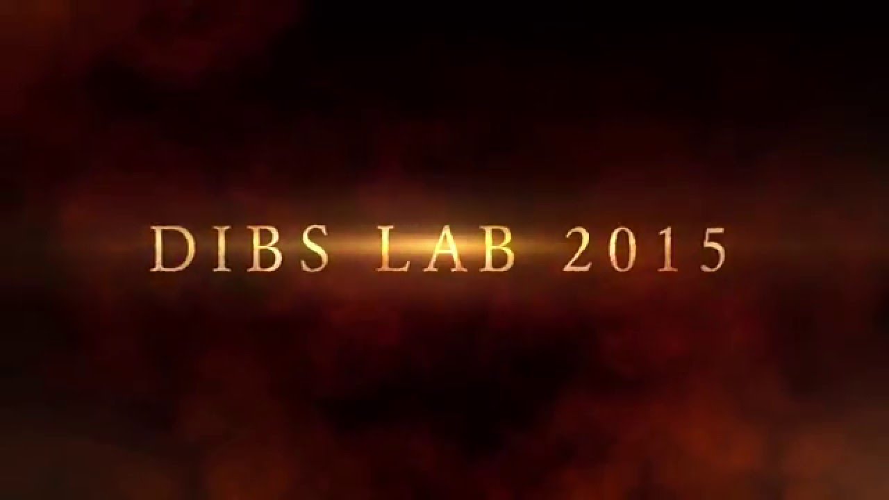 DIBS LAB 2015 - YouTube