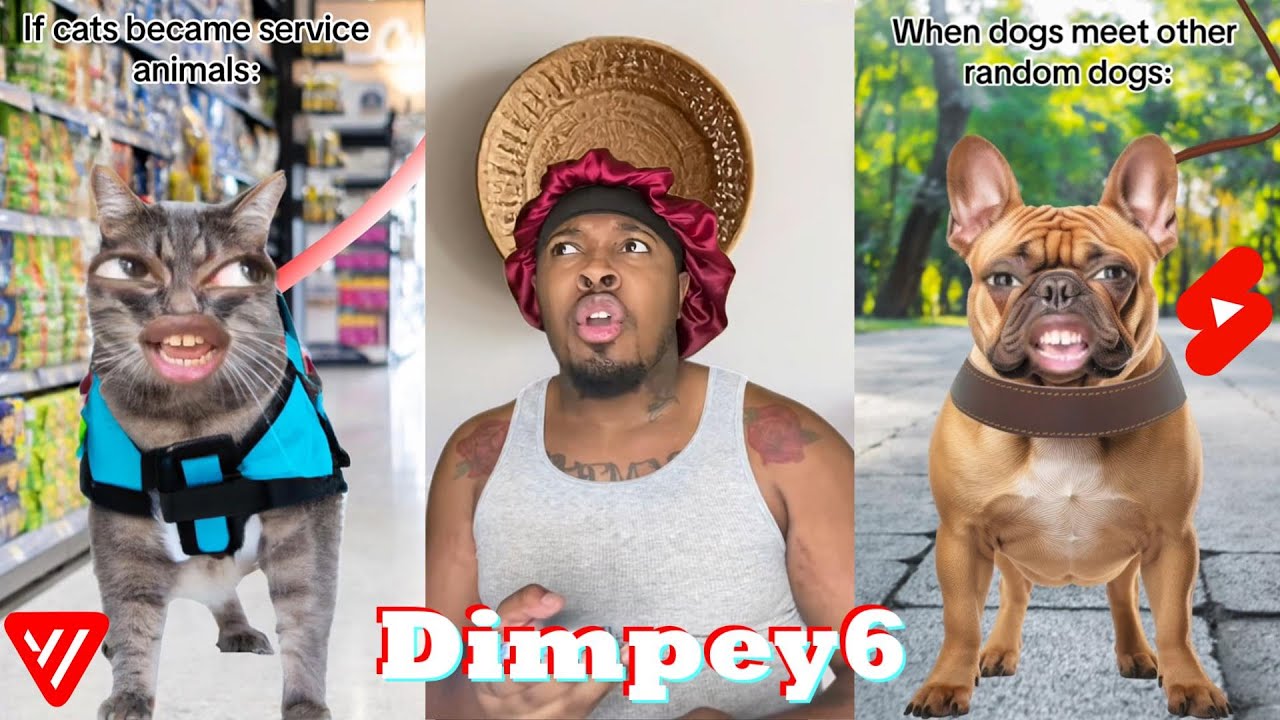 *1 HOUR* New Dimpey6 Shorts 2025 | Funny Dimpey6 TikTok Compilation ...