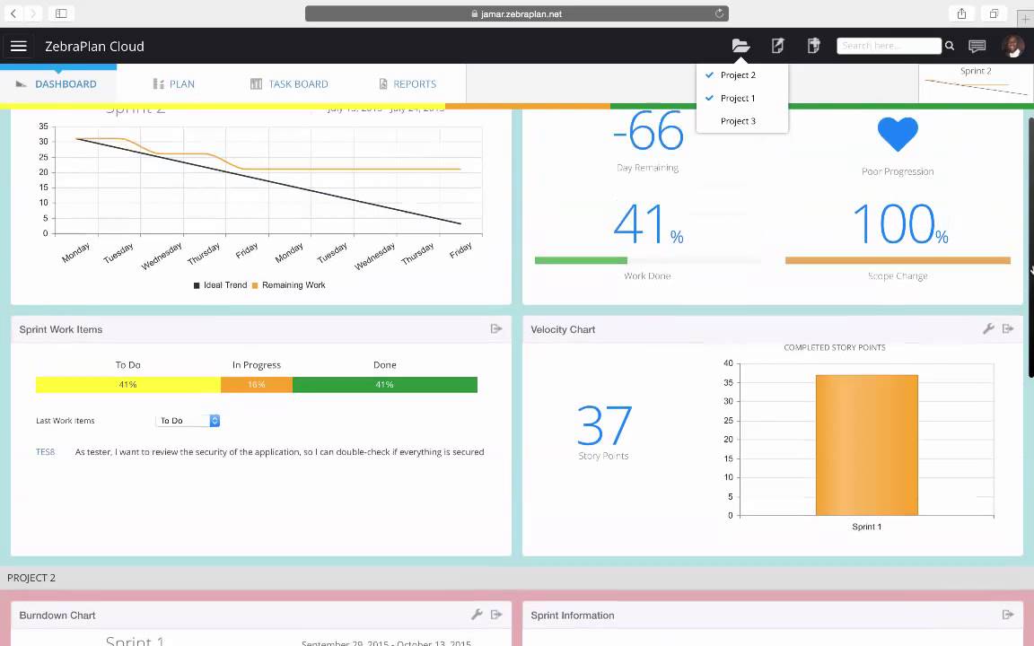 ZebraPlan: Multiple Project View Tutorial Video - YouTube