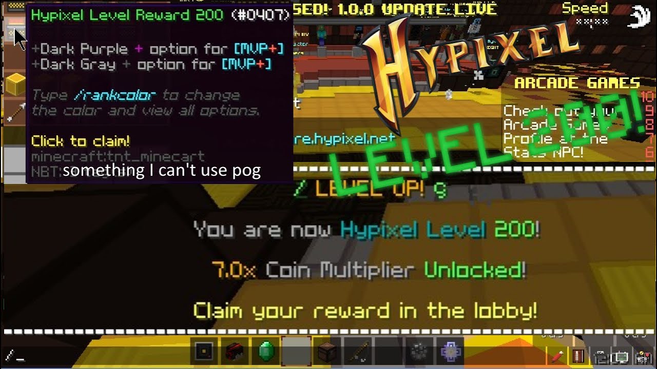 Hypixel network level 200. (Hypixel says) - YouTube