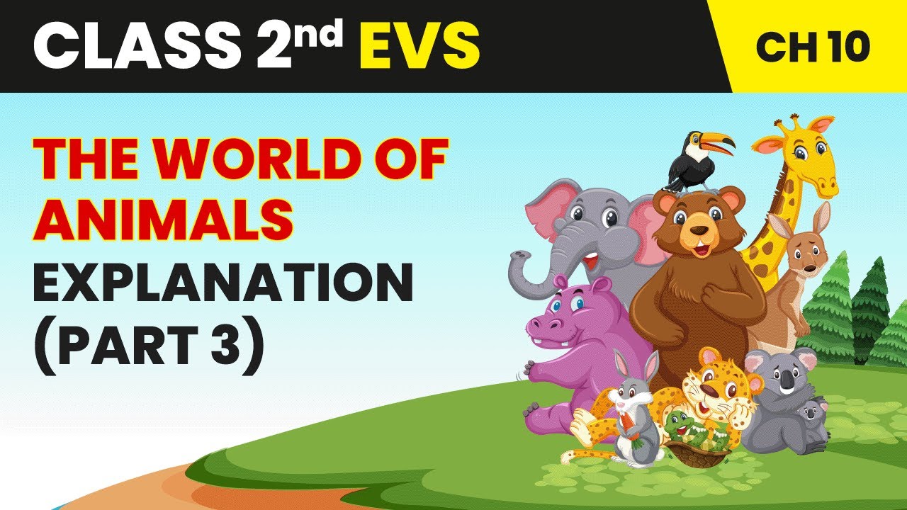 The World of Animals - Explanation (Part 3) | Class 2 Environmental ...