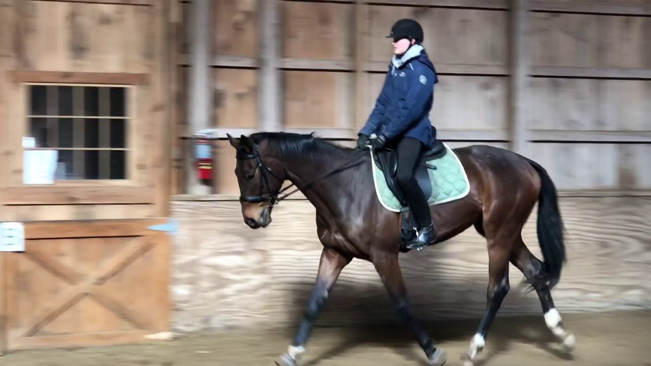 Strider (For Sale!) - YouTube