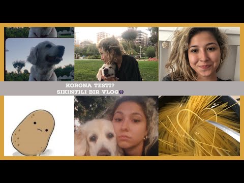 Aşırı Saçma Vlog/Korona Testim