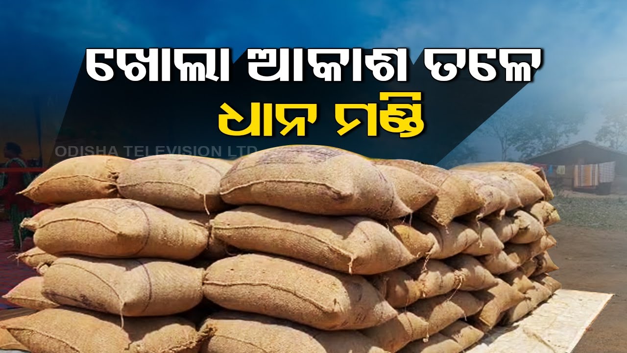 Paddy mandi in Odisha’s Nuapada runs under open sky - YouTube