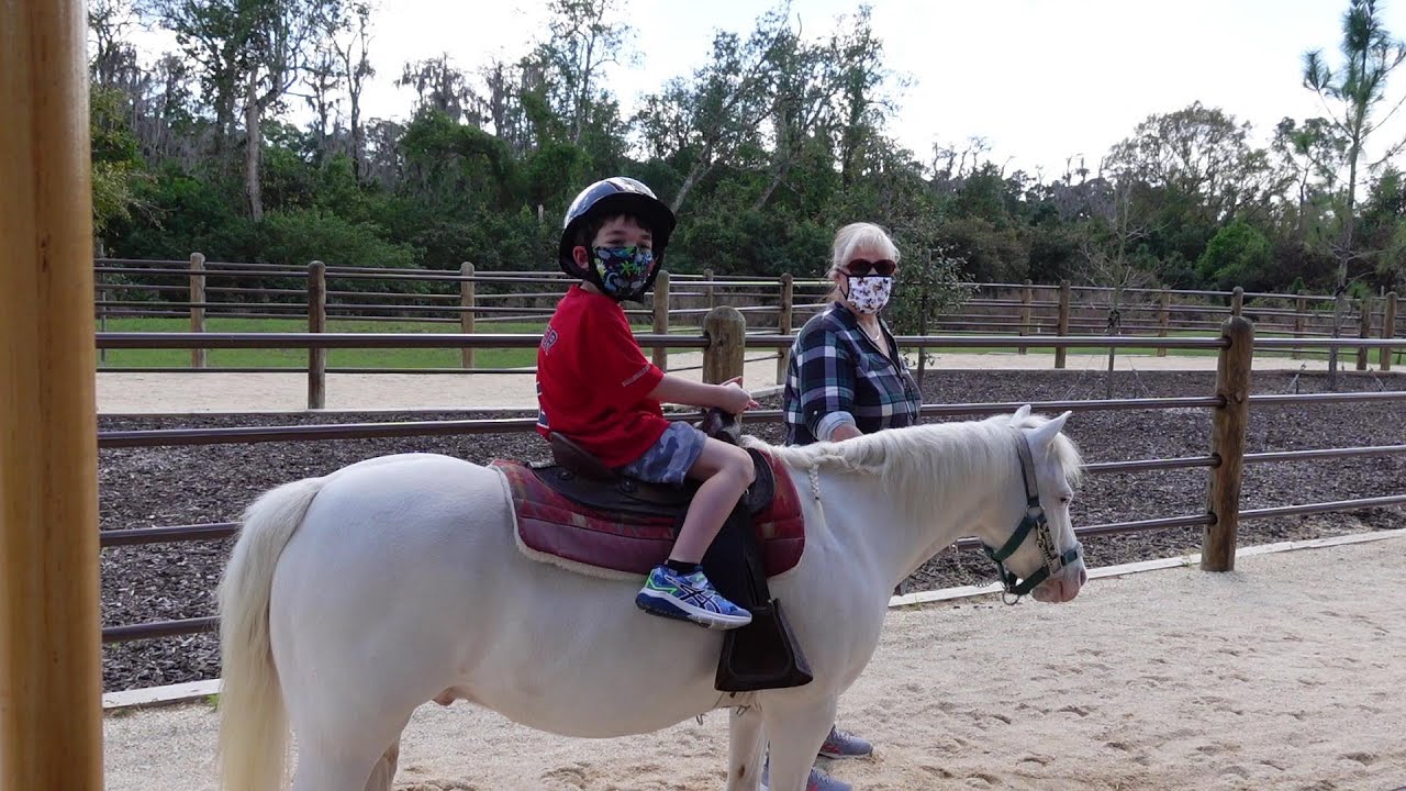 Tri-Circle-D Ranch & Pony Ride at Disney's Fort Wilderness Resort ...