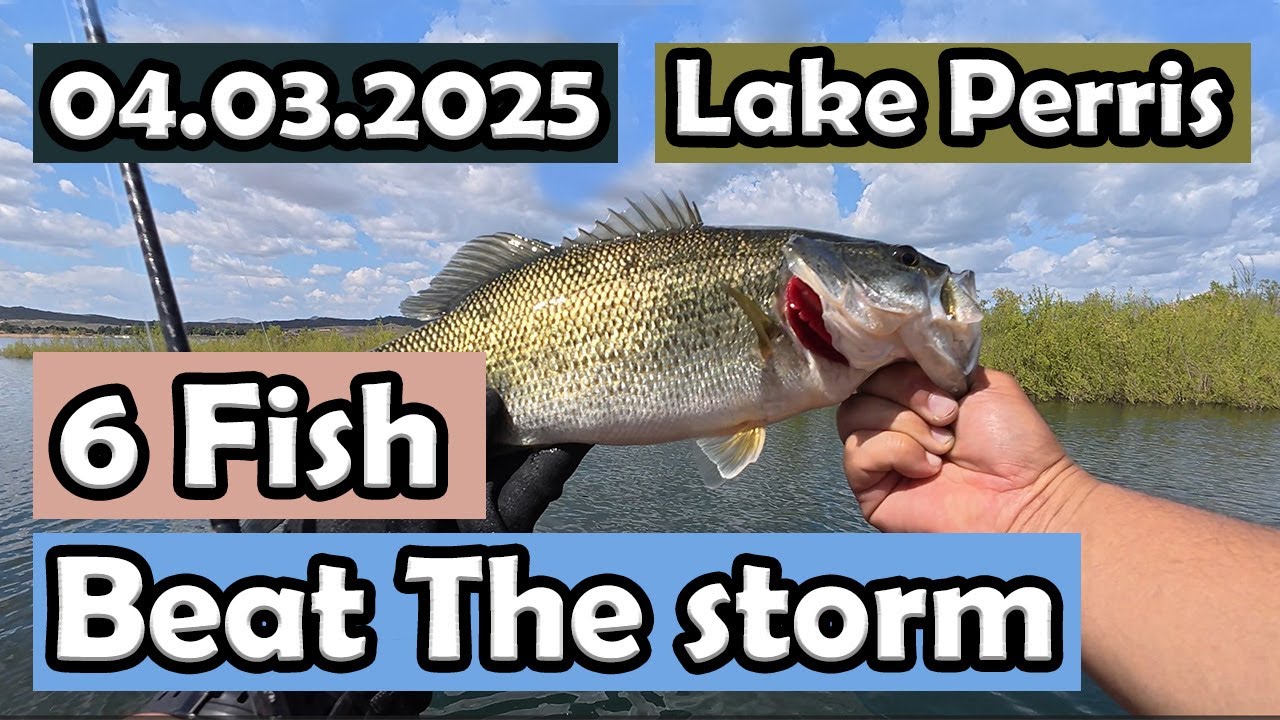 Lake Perris Bass Fishing: 6 Fish. Short trip to the lake # ...