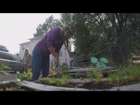 Domestic abuse survivors turn to gardening (10-1-18)