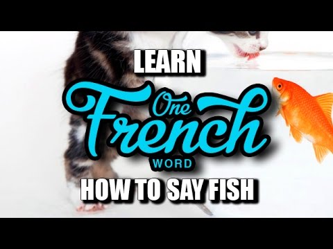 Learn one French word - How to say - Fish - YouTube