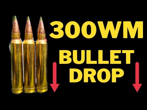 300 Win Mag Bullet Drop - With Holdovers and Dials for MOA and MILS ...