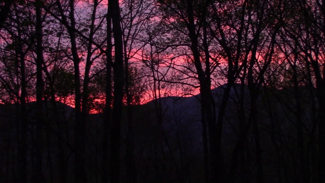"Space Between Stories" Composed and performed by Michele Zehr - YouTube
