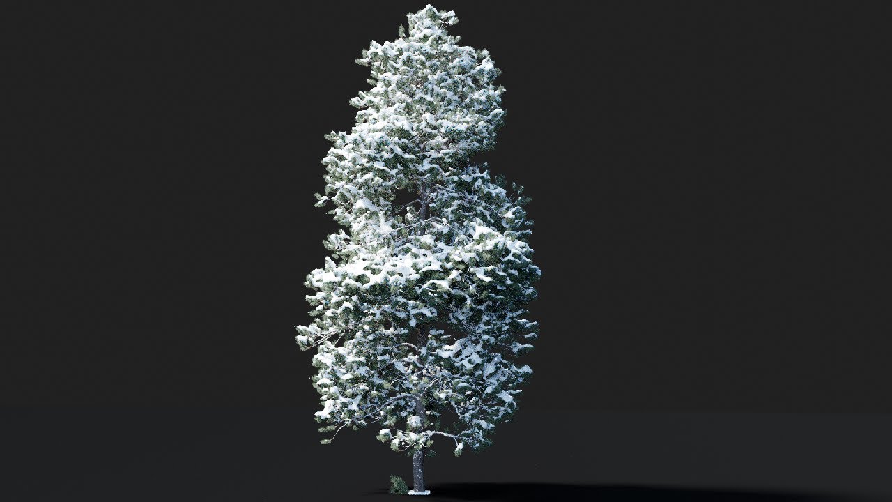 Blender 3D Snowy Tree Tutorial - YouTube