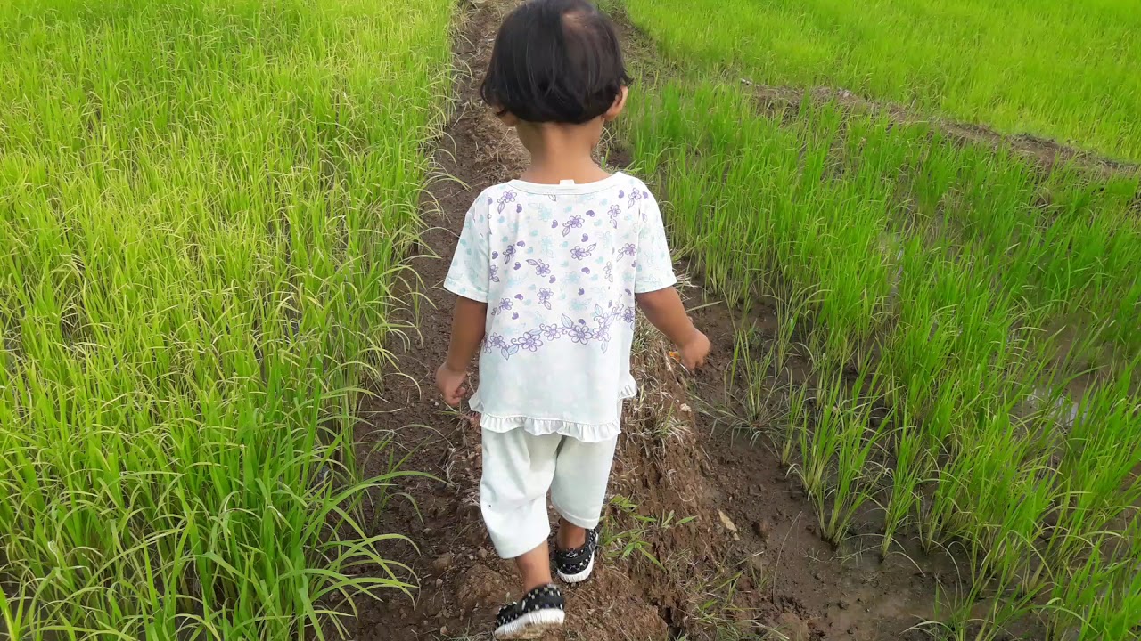 Primadona 1 - YouTube