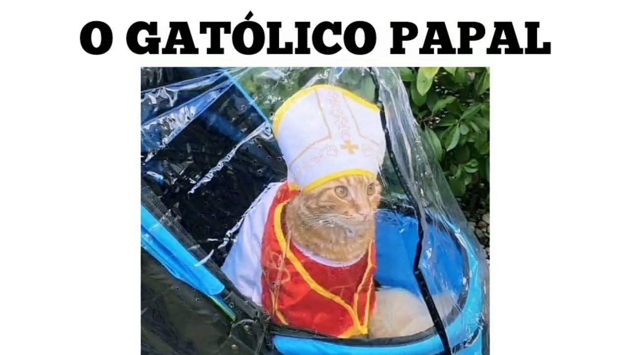MELHORES MEMES EM IMAGENS - O GATÓLICO PAPAL - YouTube