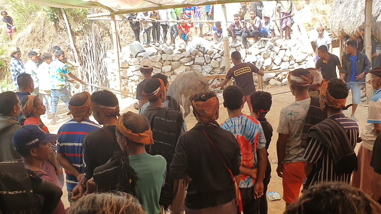 Kultura Atsabe Baboe craik - YouTube