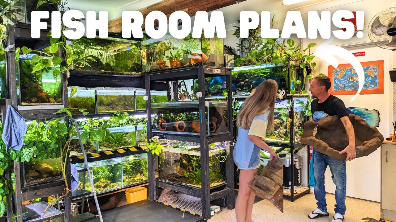 Over 80 Planted Aquariums! Fish Room Tour and Update - YouTube