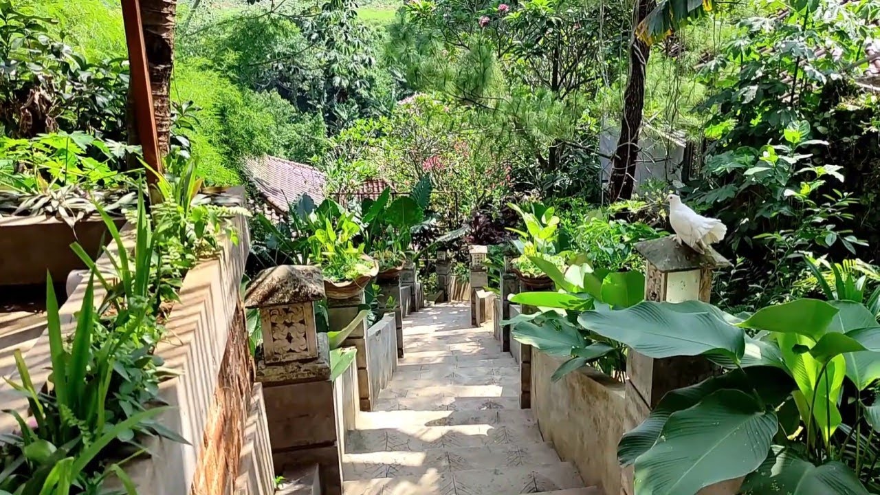 Walk Around Villa The Ubud Cinere Depok - YouTube