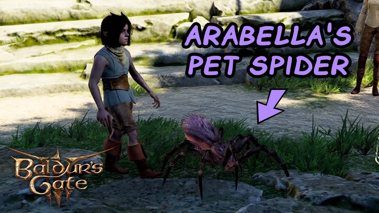 Baldur's Gate 3 Patch 6: Arabella's Pet Spider 🕷 - YouTube