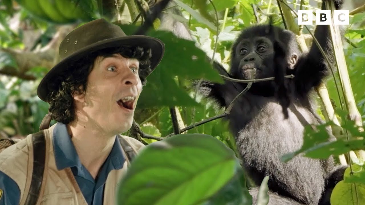 Let's Travel the Globe 🌍 | Andy's Amazing Adventures - YouTube