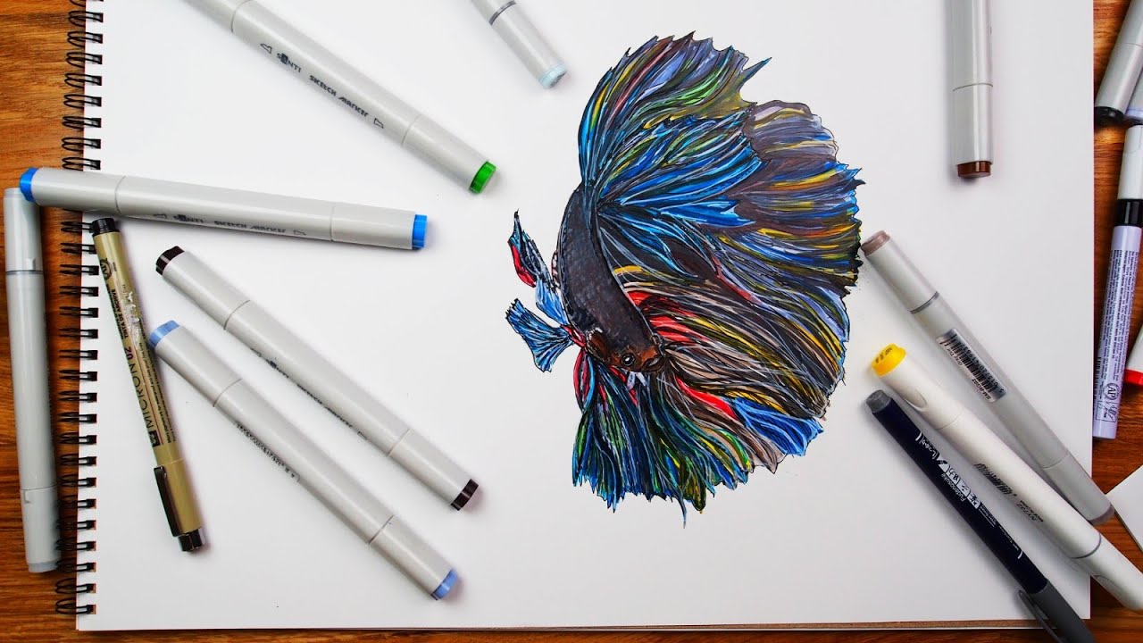 How to draw betta fish |with markers| - YouTube