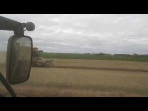 LEXION 780TT picking up swaths