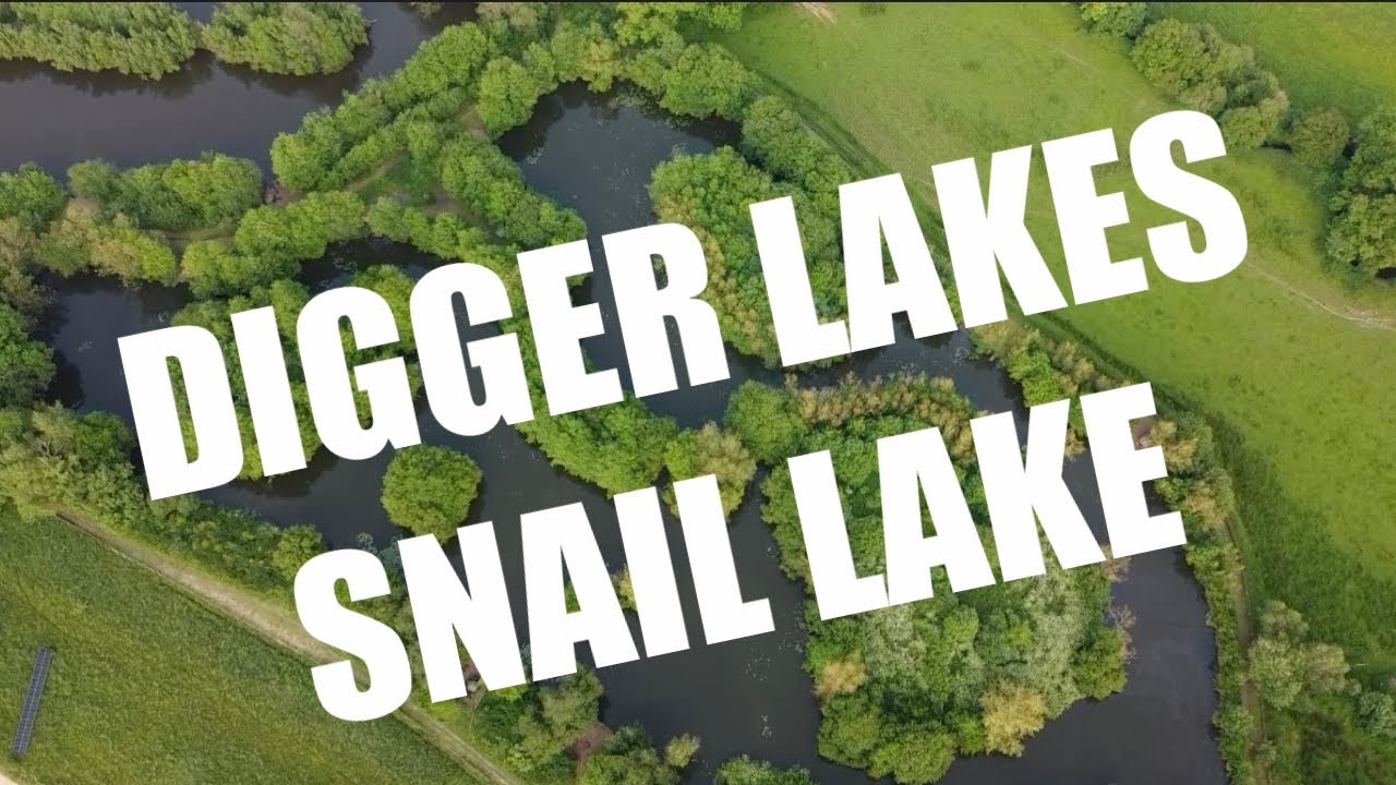 WHAT A FISH! || DIGGER LAKES - YouTube