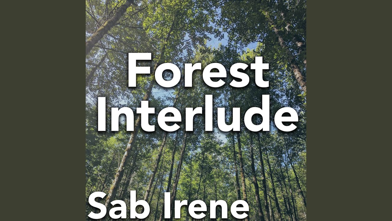 Forest Interlude - YouTube Music