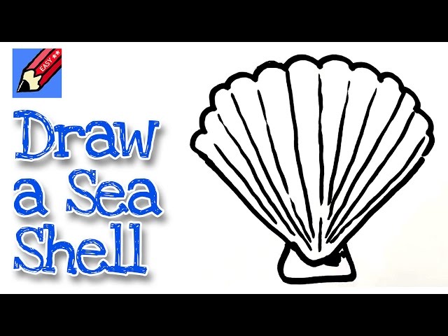 How To Draw A Seashell