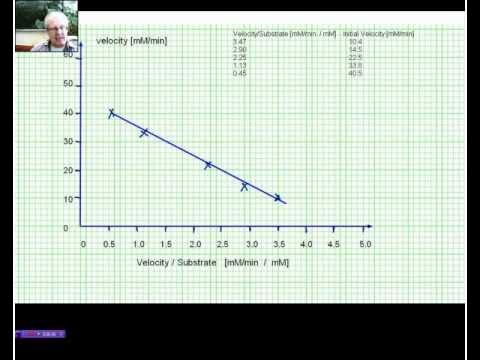Eadie Hofstee plot data analysis - YouTube
