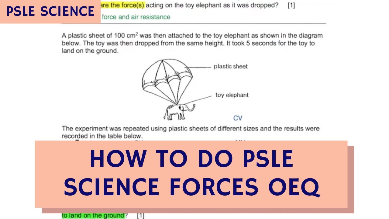 How to Tackle Forces Questions (TTA PSLE Science Ep 3) - YouTube