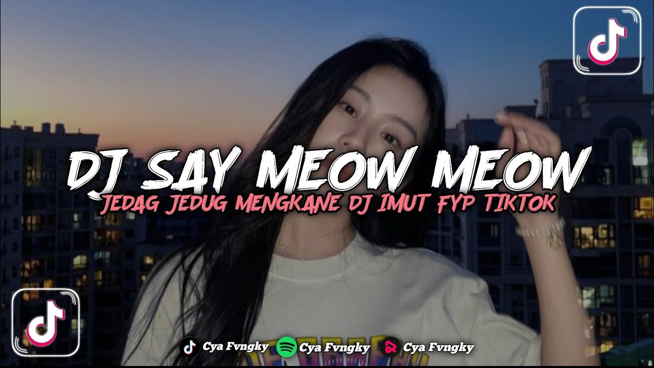 DJ SAY MEOW MEOW JEDAG JEDUG MENGKANE (DJ IMUT) - Fyp Tiktok - YouTube