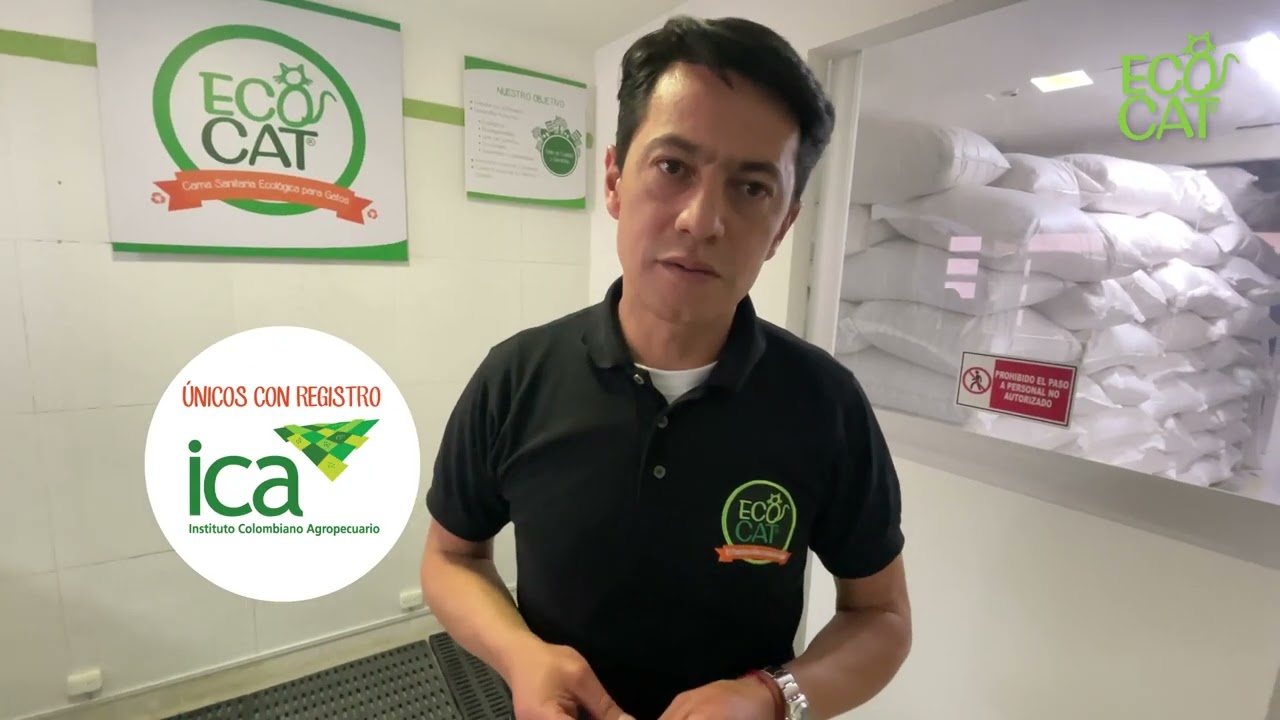 Conoce mas de Ecocat® - YouTube