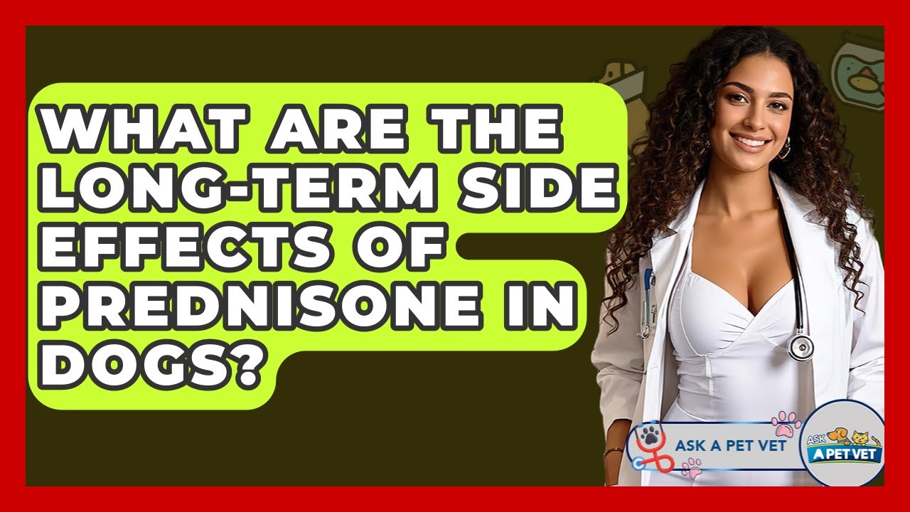 What Are The Long-term Side Effects Of Prednisone In Dogs? - Ask A Pet ...