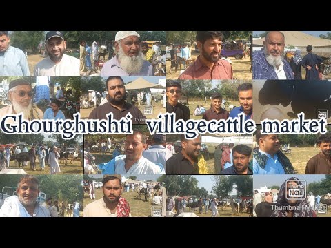 cattle market Ghourghushti village cheap Buffalo cow goats and Bull ...
