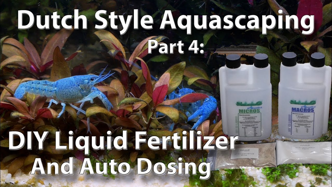 Dutch Style Aquascape Part 4: DIY Liquid Fertilizers and Auto Dosing ...
